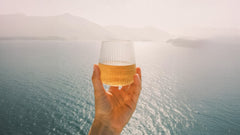 Unbreakable Beach Glasses | Djuce Studio